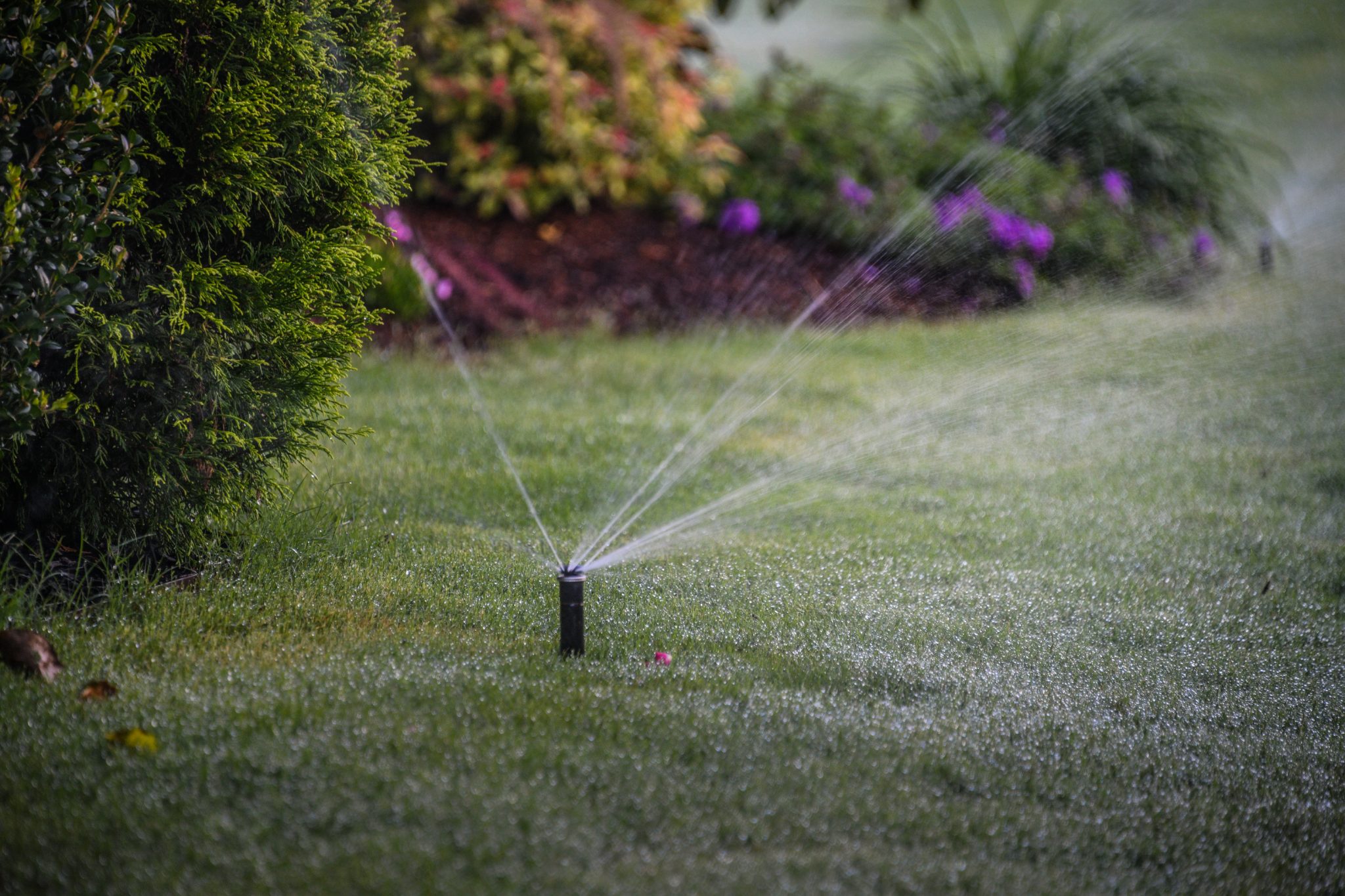 Spring Irrigation System Start-UP | Green Scene Irrigation & Landscaping
